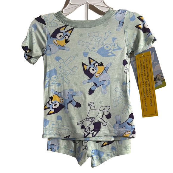Disney | Pajamas | Disney Bluey Pajama Set | Poshmark